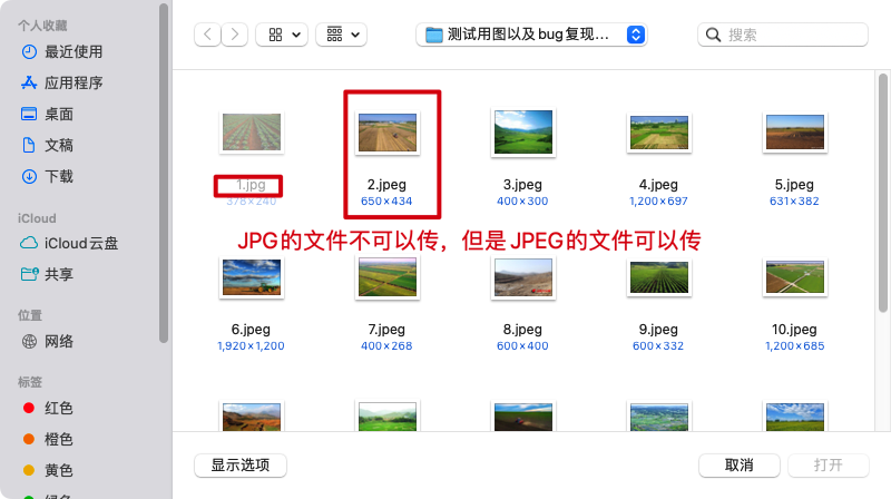 Bug 2760 【客户账单管理 上传水单新】上传水单应限制文件格式,当前所有文件格式都支持上传 物流管理系统 禅道